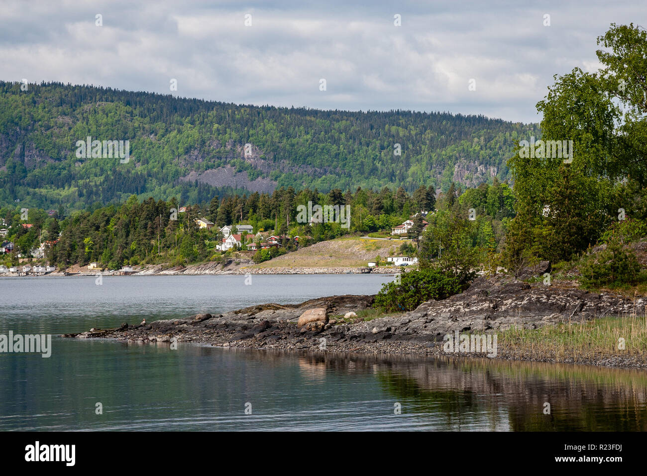 rocky coastline in Norway with few pine trees and calm water under blue ...