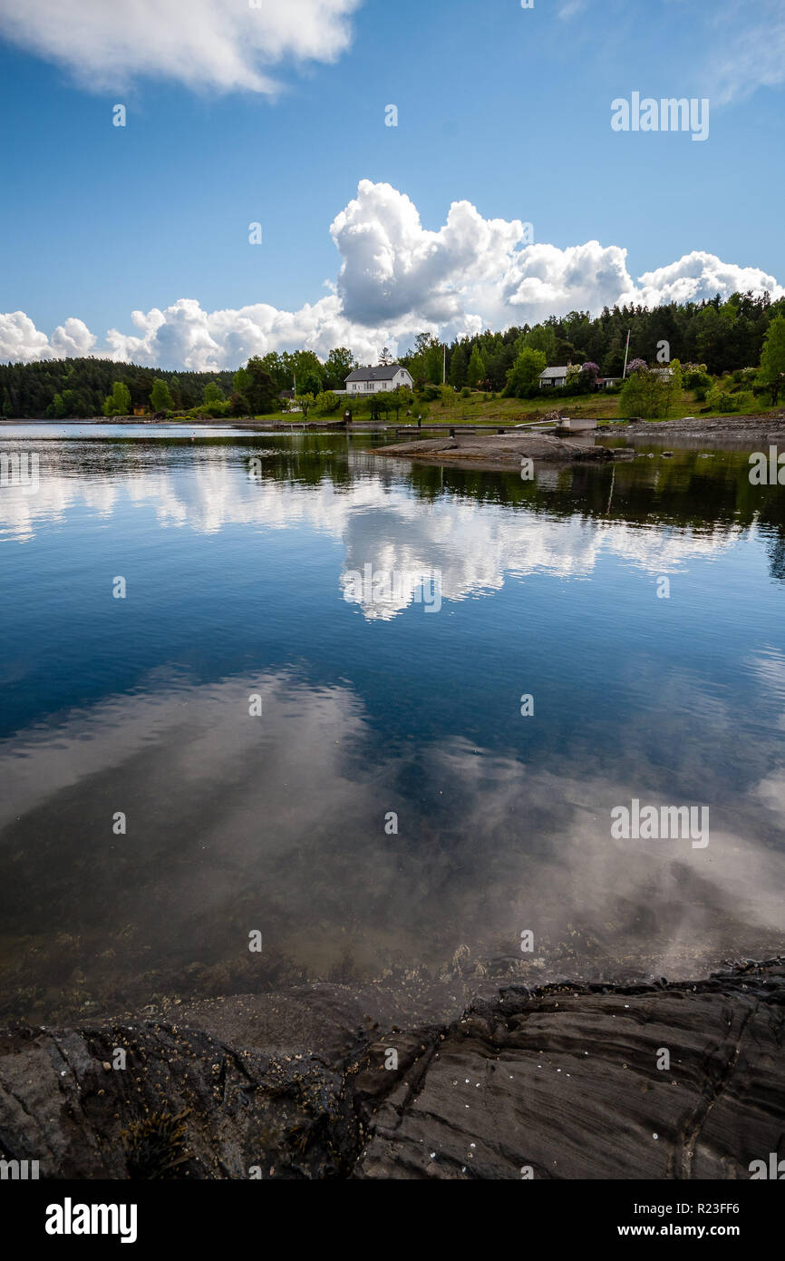 rocky coastline in Norway with few pine trees and calm water under blue ...