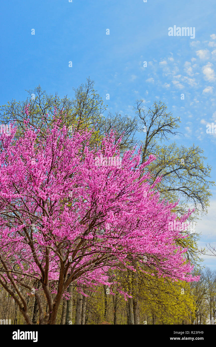 Keptown hi-res stock photography and images - Alamy