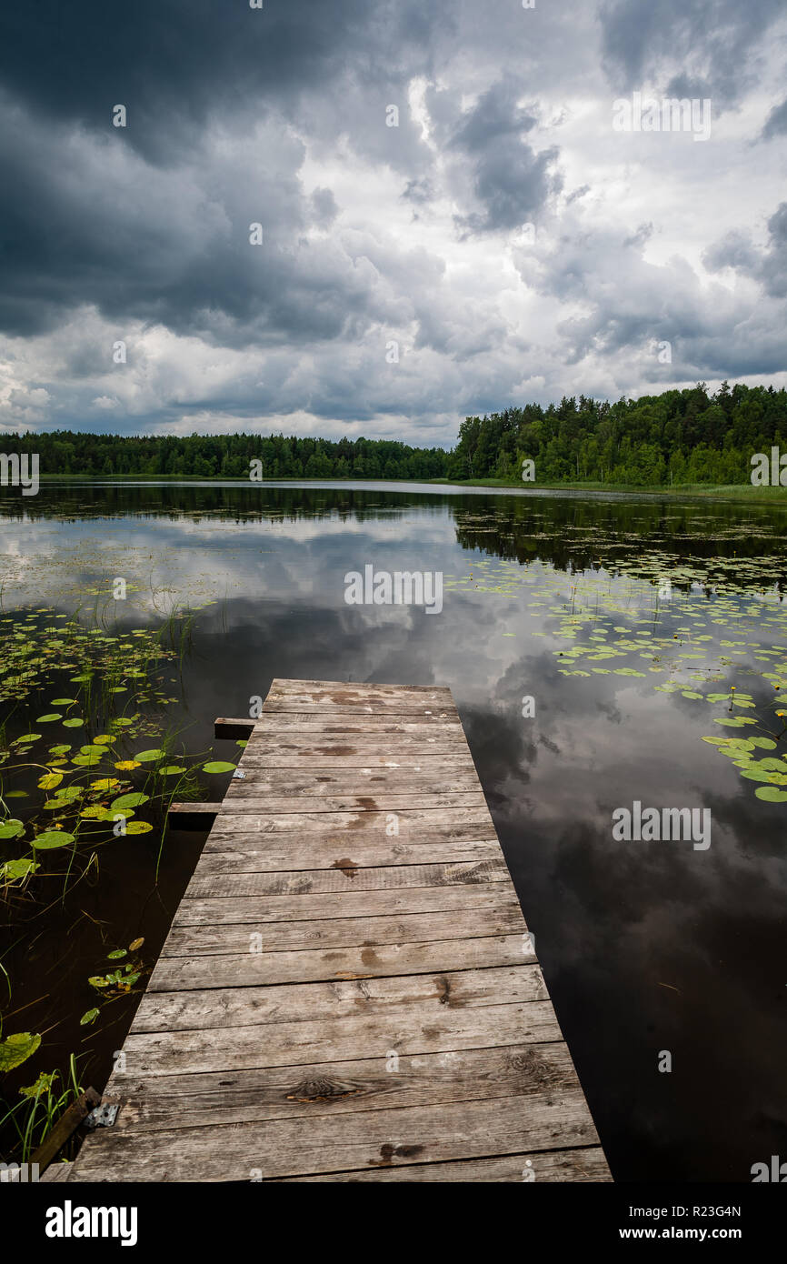 wooden and composite material foot bridge over water in green summer ...