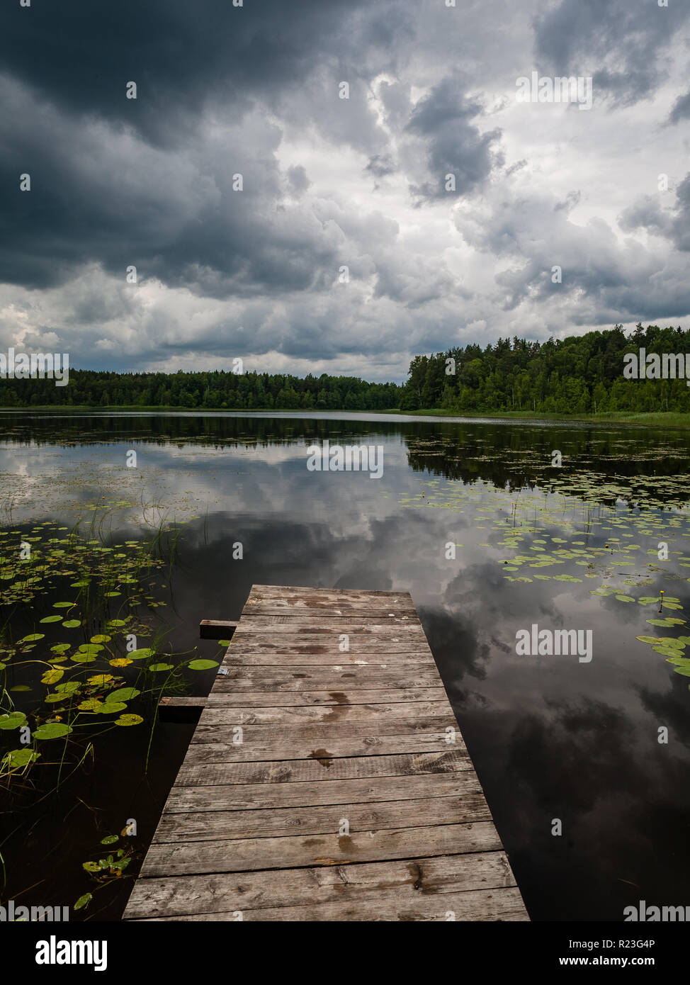 wooden and composite material foot bridge over water in green summer ...