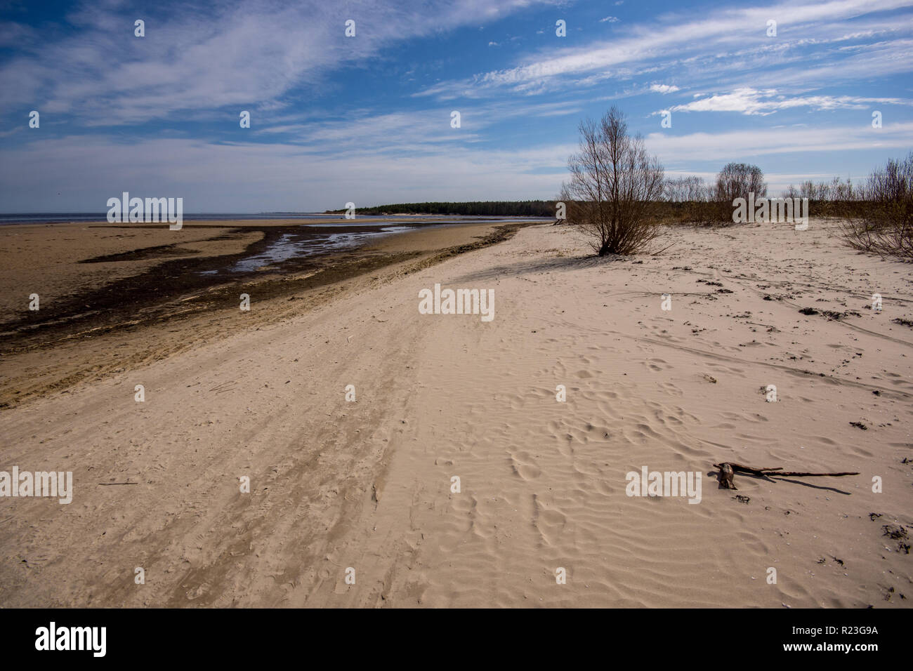 empty sea beach in spring with some birds and cargo ships on the ...