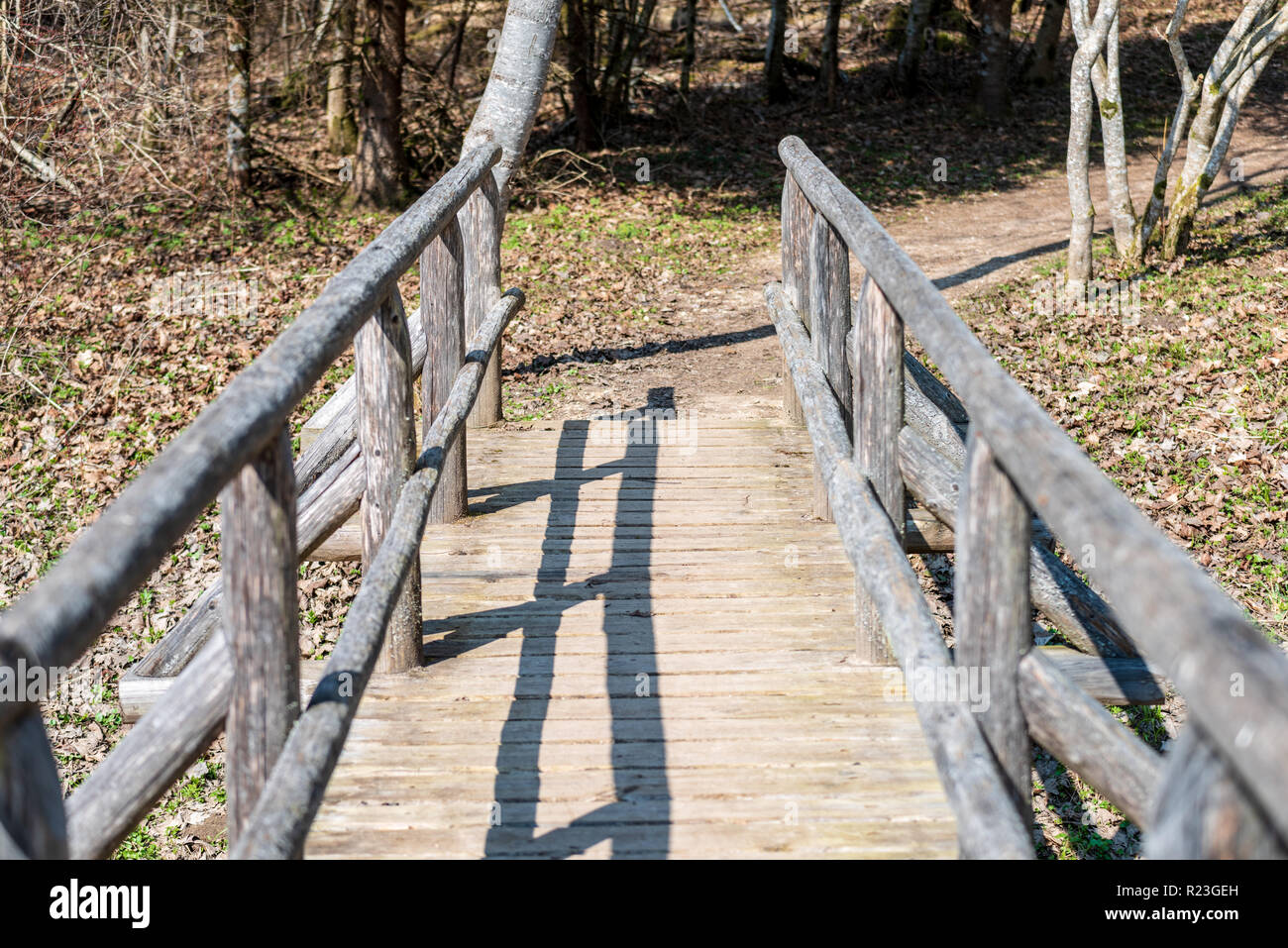 wooden and composite material foot bridge over water in green summer ...