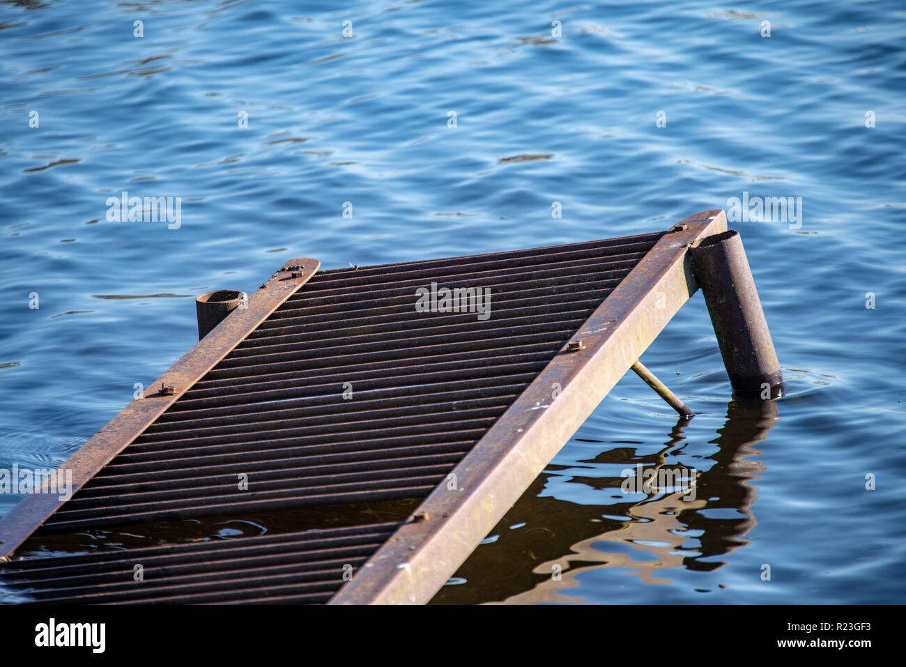 wooden and composite material foot bridge over water in green summer ...