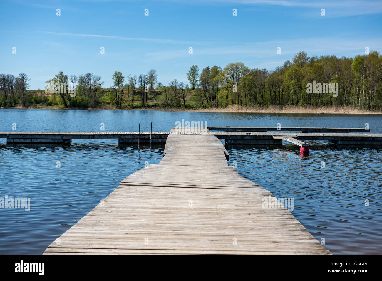 wooden and composite material foot bridge over water in green summer ...