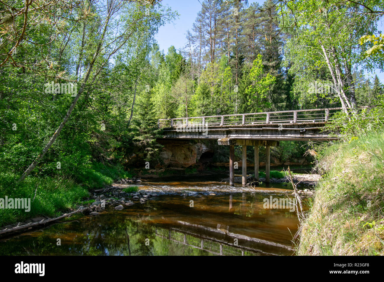 wooden and composite material foot bridge over water in green summer ...