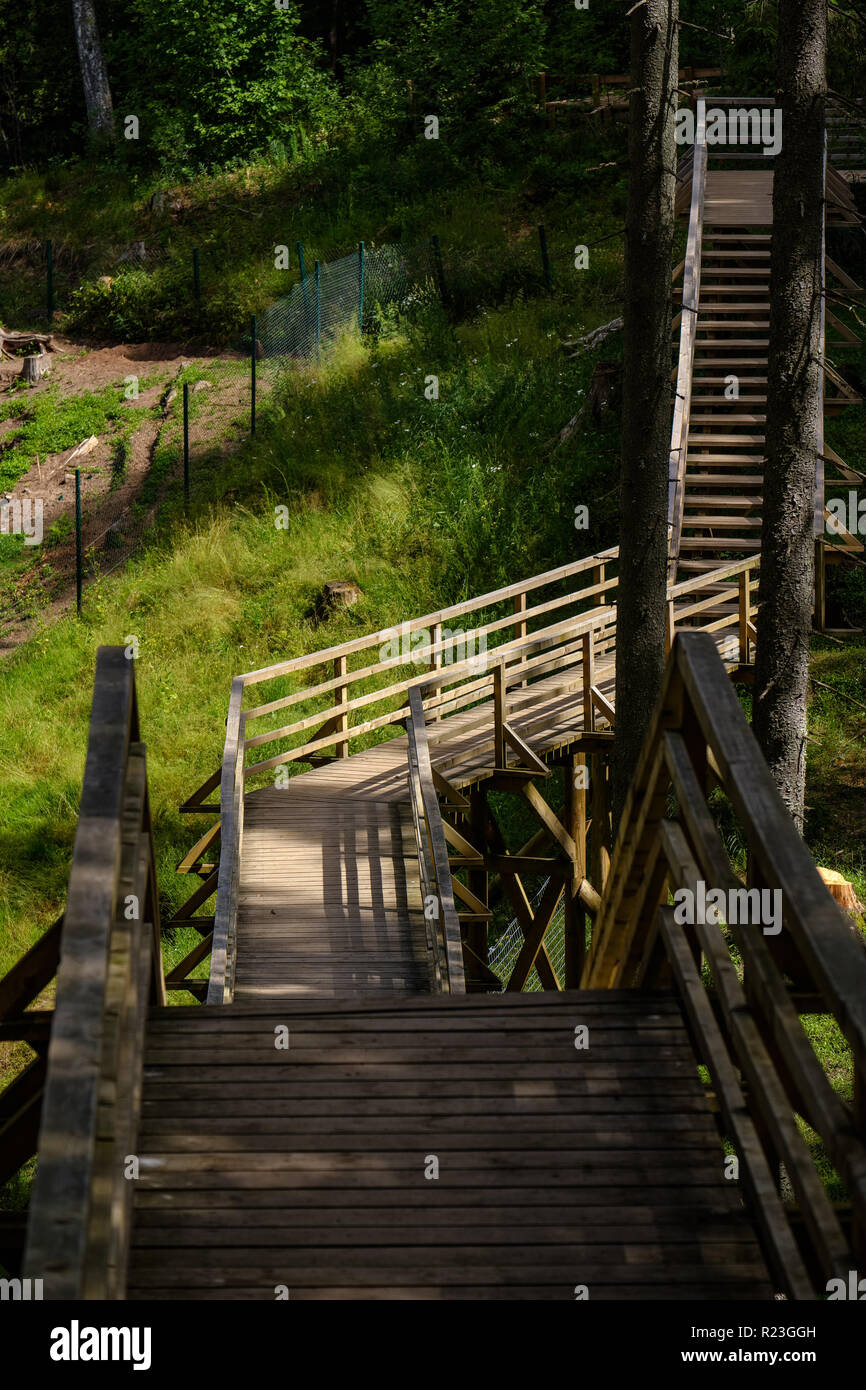 wooden and composite material foot bridge over water in green summer ...