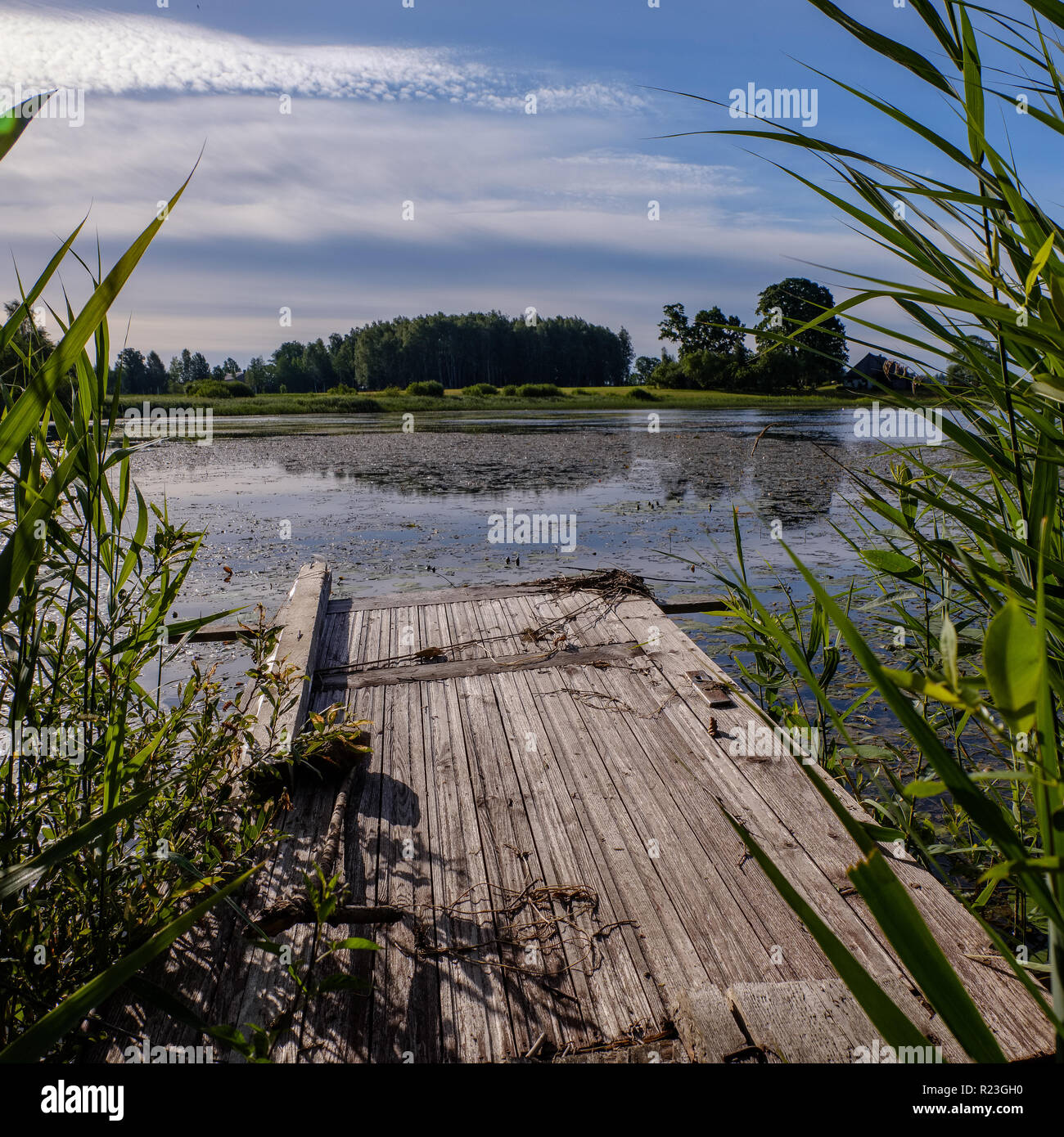 wooden and composite material foot bridge over water in green summer ...