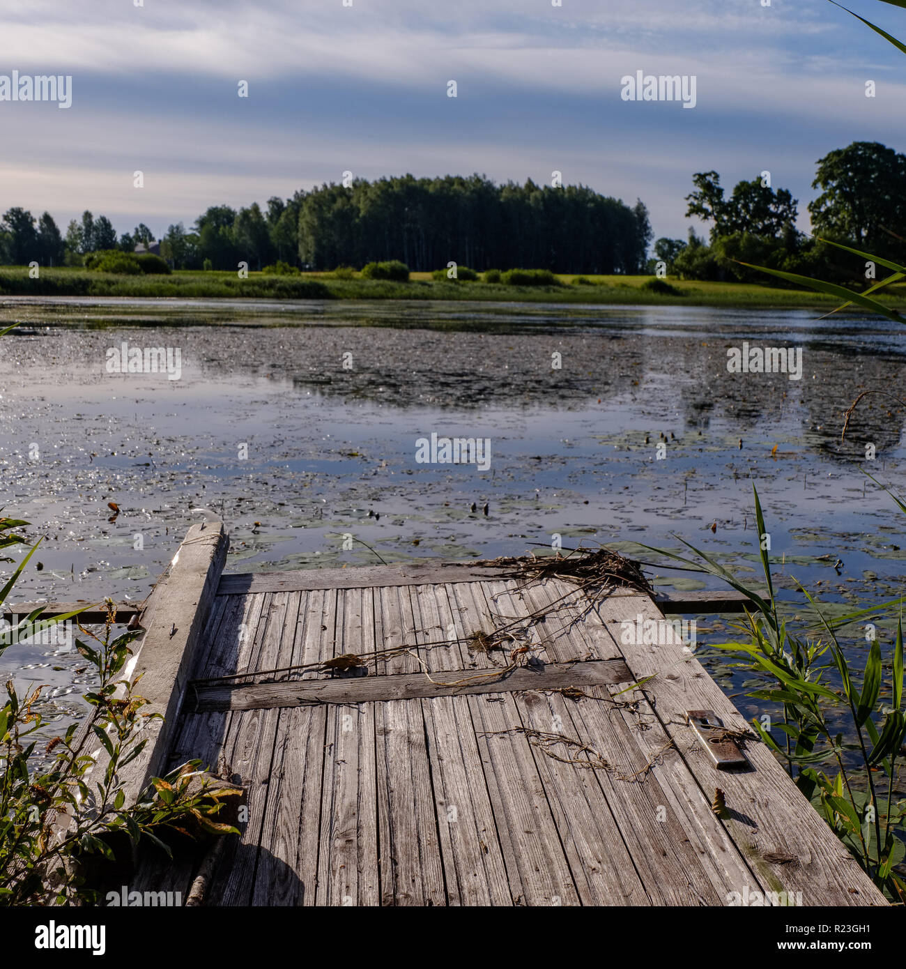 wooden and composite material foot bridge over water in green summer ...