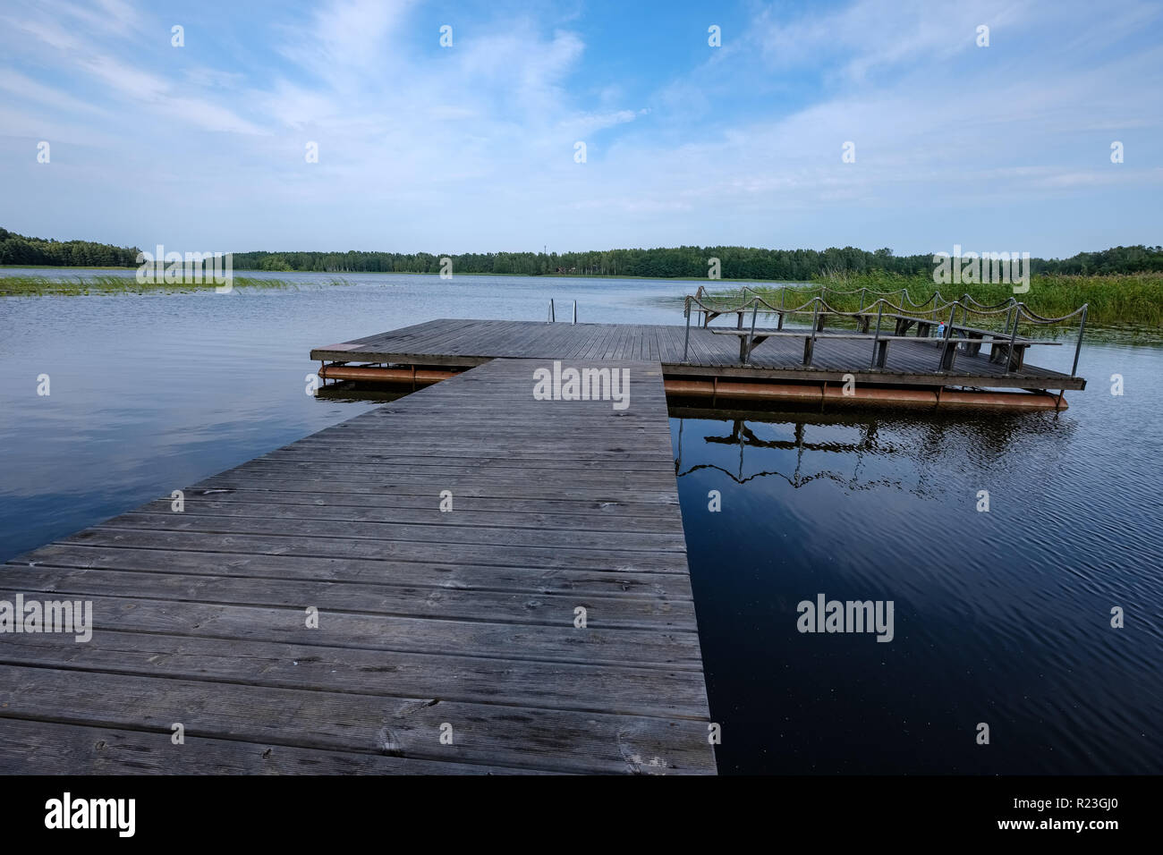 wooden and composite material foot bridge over water in green summer ...