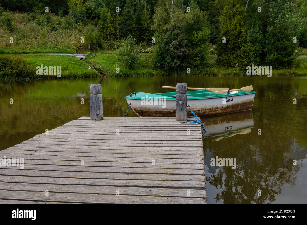 wooden and composite material foot bridge over water in green summer ...
