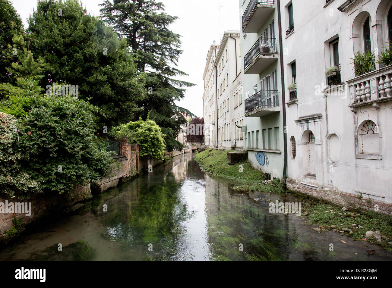 Treviso, Italy. Treviso Stock Photo - Alamy