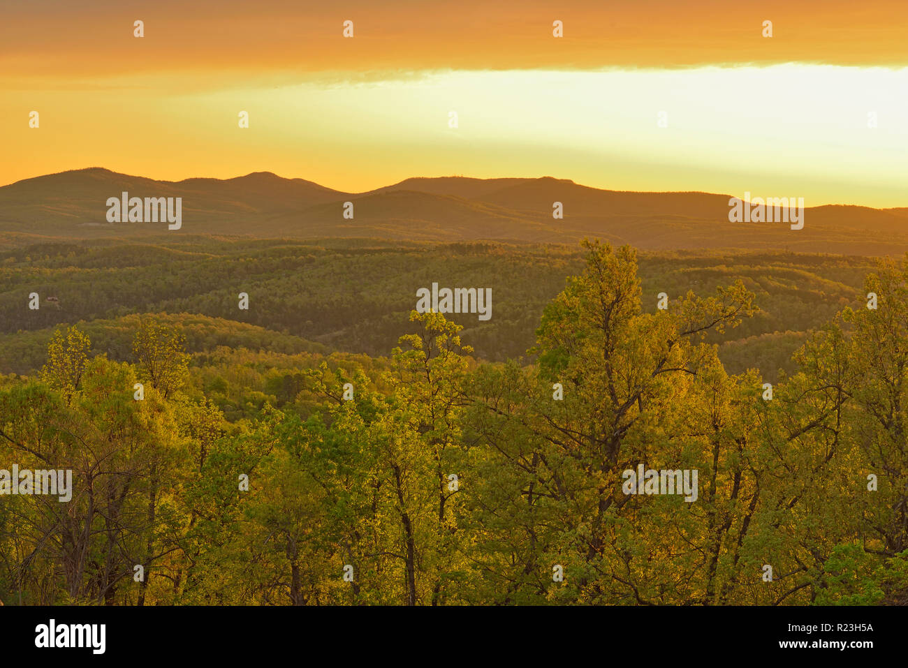 Temperate deciduous forest hi-res stock photography and images - Alamy