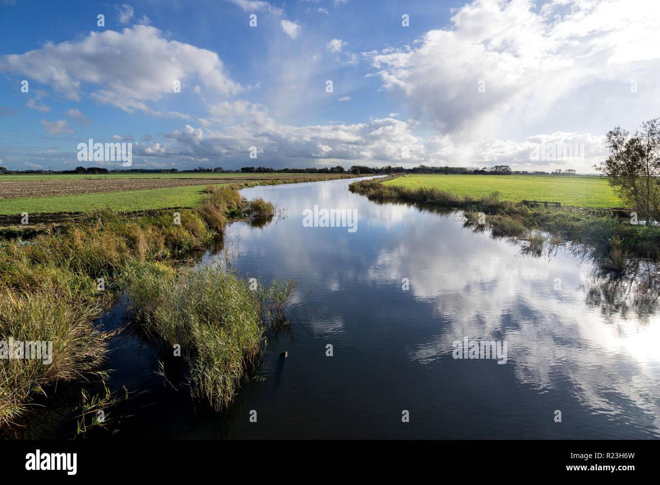 Polder landscape with farm hi-res stock photography and images - Alamy