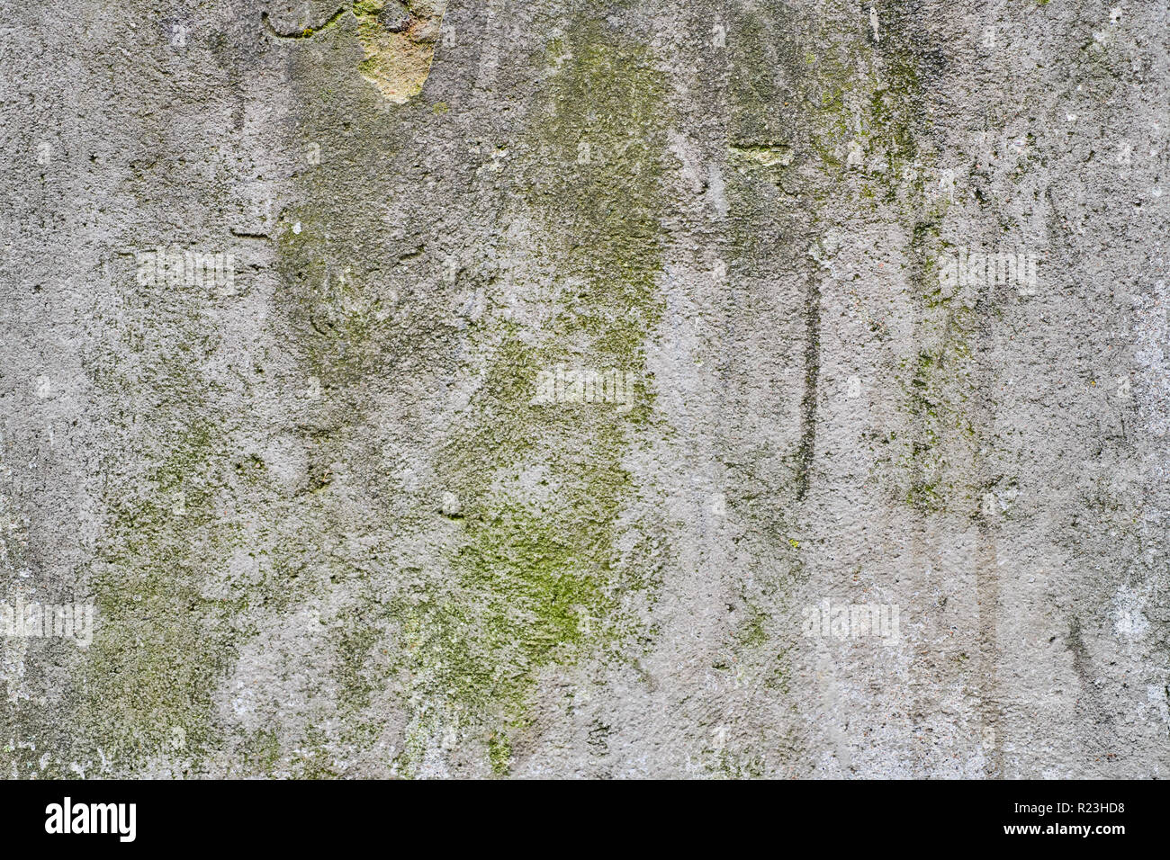 Old gray stone wall with green moss texture background Stock Photo - Alamy