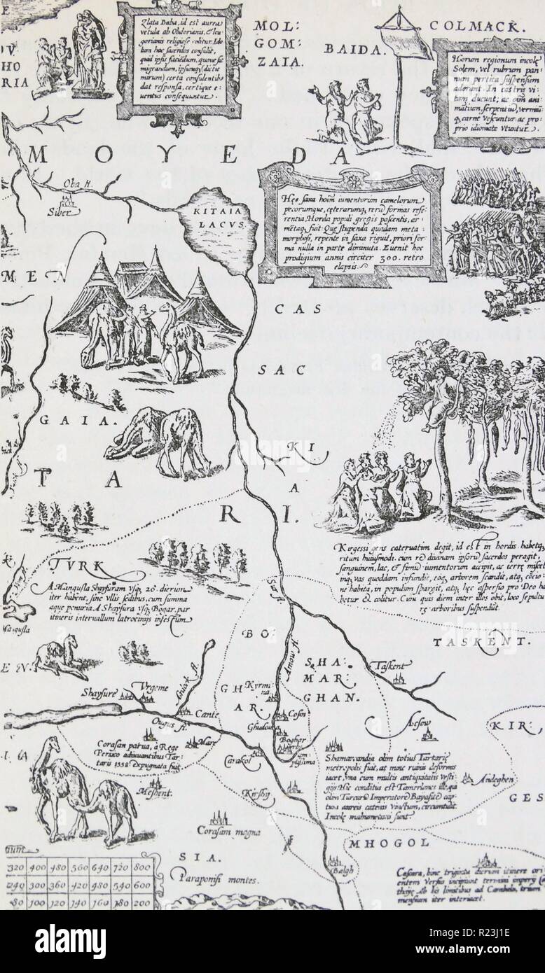 Muscovie hi-res stock photography and images - Alamy