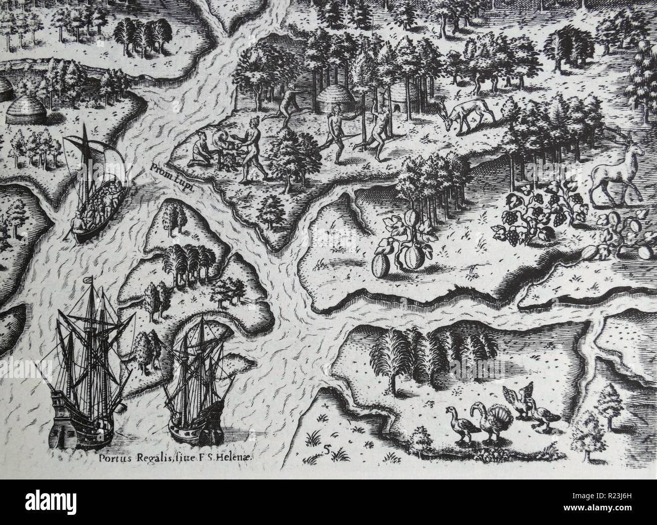 Illustration depicting a French expedition arriving in Florida in the ...
