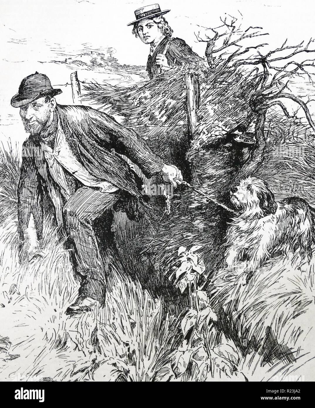 Lady and the tramp hi-res stock photography and images - Alamy