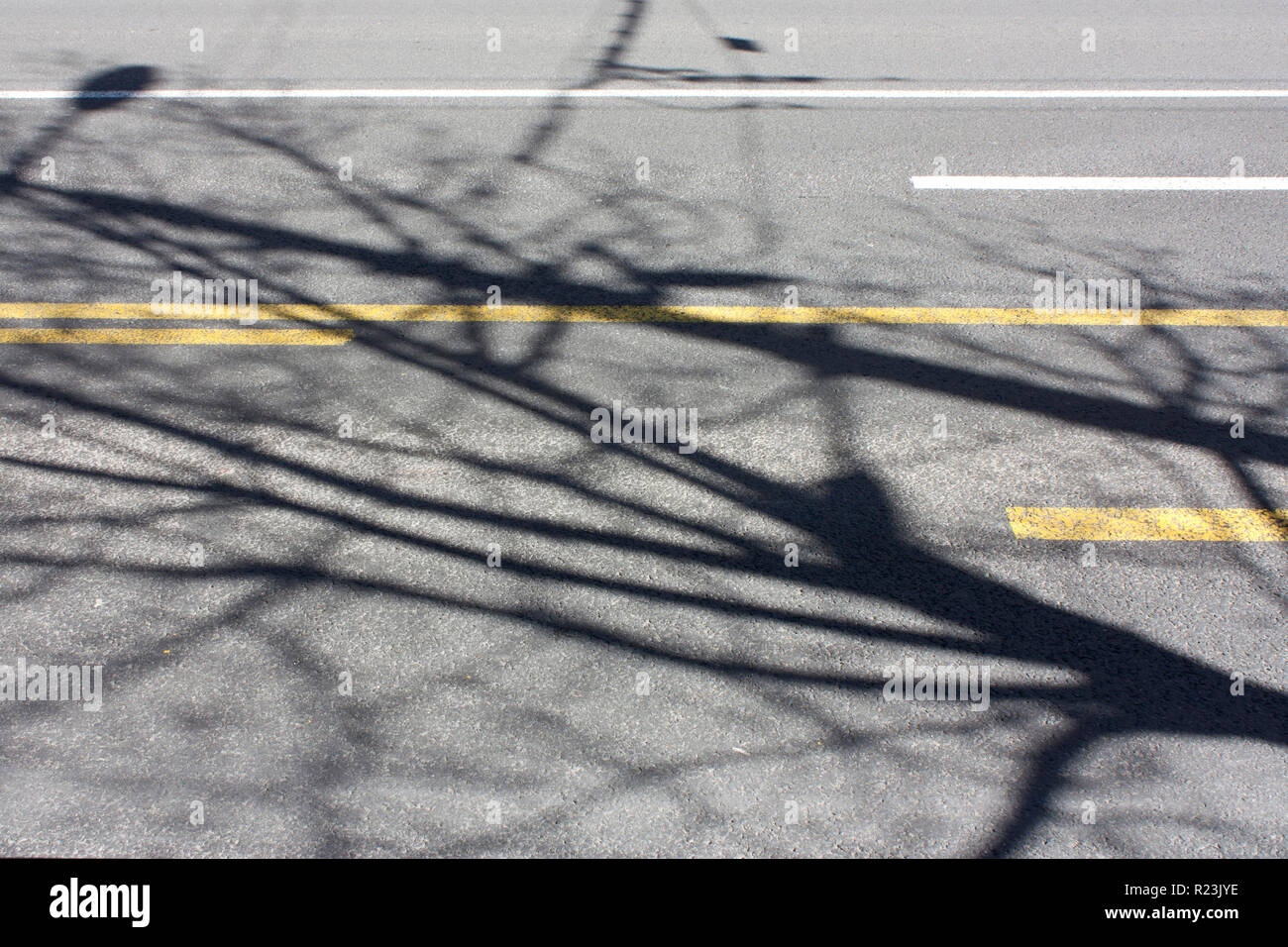 Road surface markings and tree shadows on empty city street in winter ...
