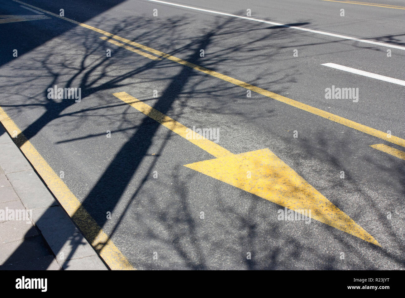 Road surface markings and tree shadows on empty city street in winter ...