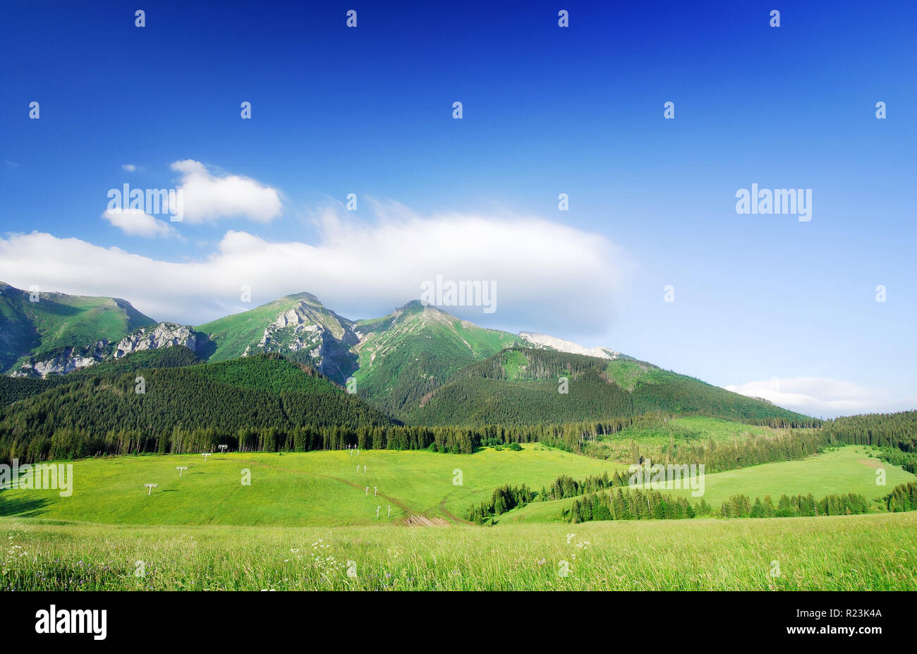 Landscape, view of green rolling fields, blue sky and white clouds in ...