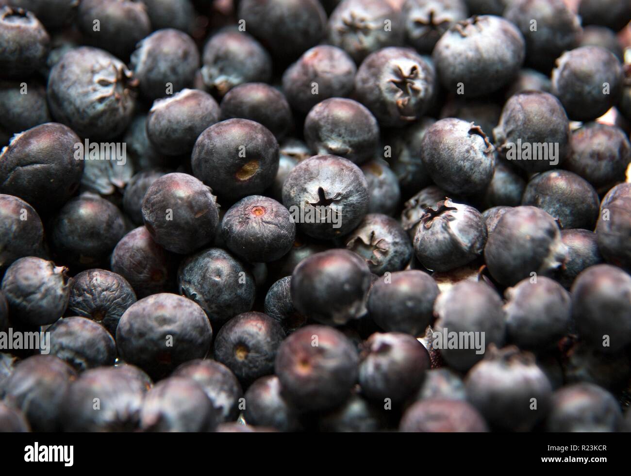 Fresh blueberries from Peru Stock Photo - Alamy