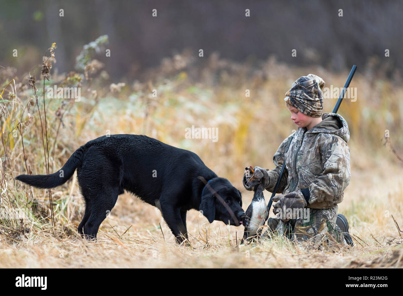Boy with dog hunting hi-res stock photography and images - Alamy