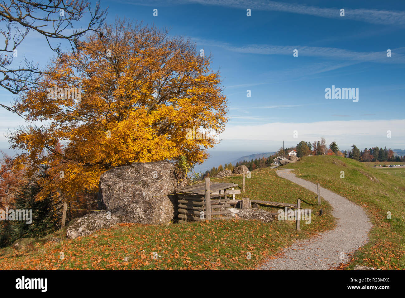 Landscape with Green meadows above Lake Lucerne, near mount Rigi, Alps ...