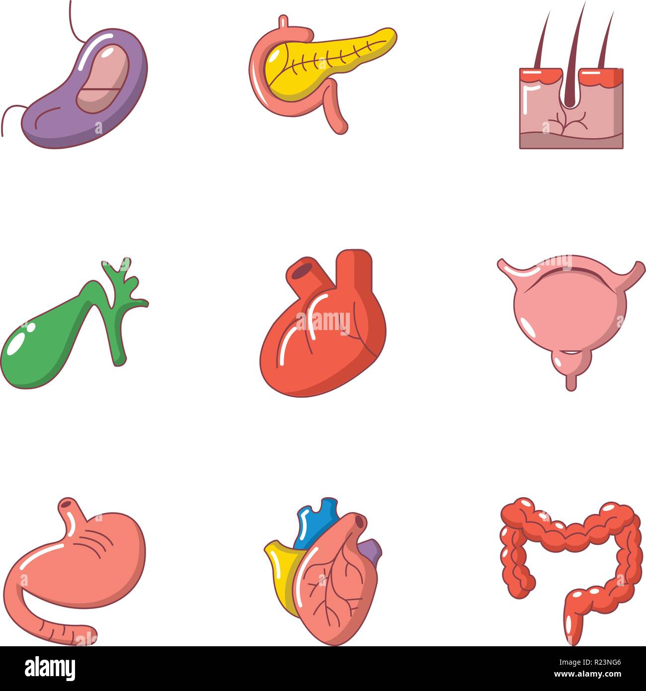 Human organism icons set, cartoon style Stock Vector Image & Art - Alamy