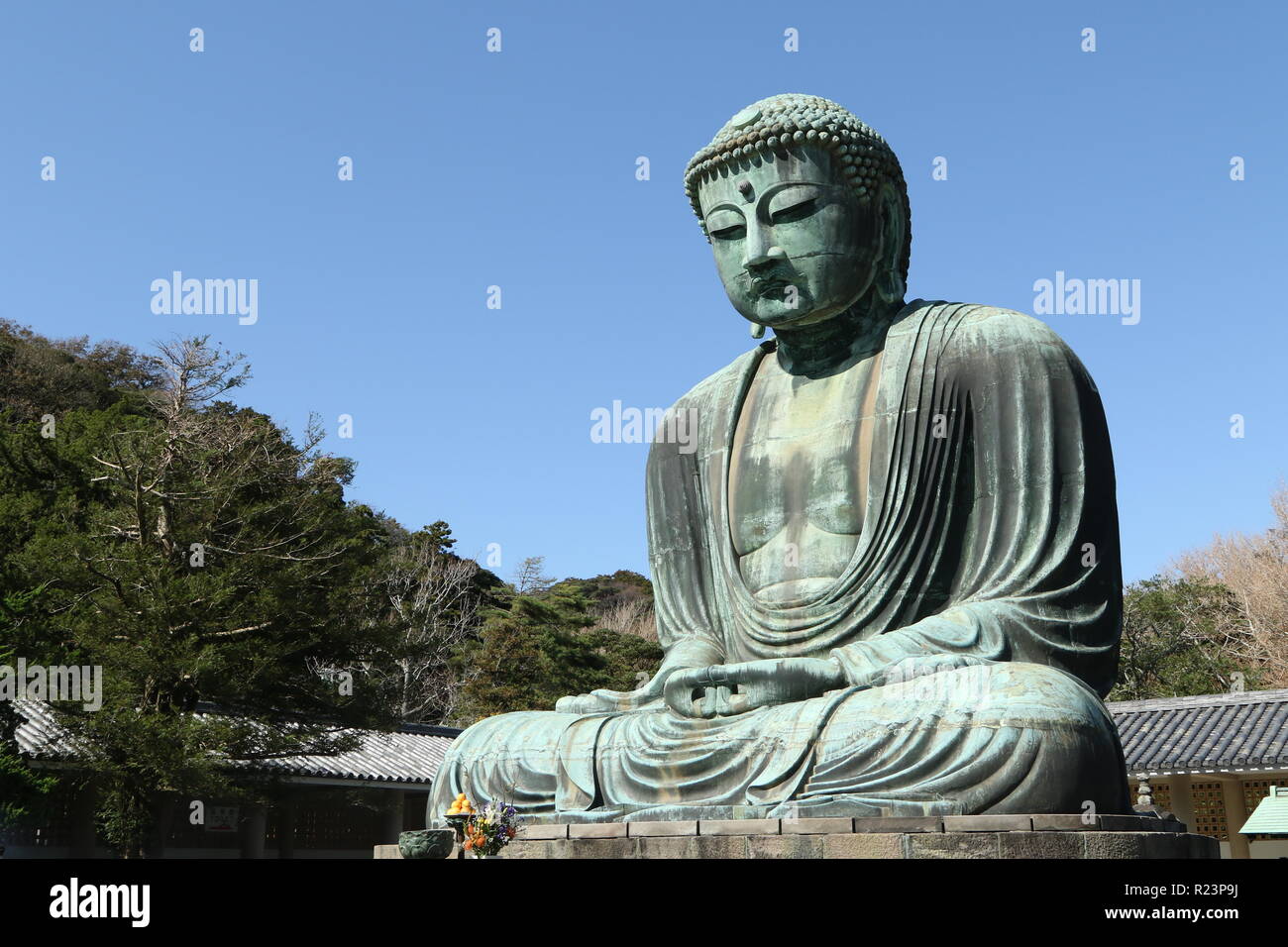 Daibutsu, Great Buddha statue at Kotoku-in temple, Kamakura, Kanagawa ...