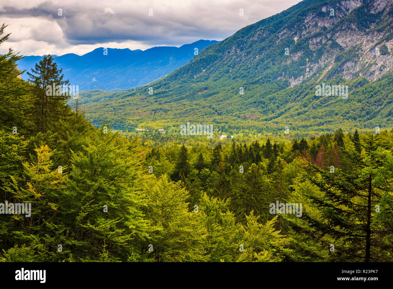 Bohinj glacial valley hi-res stock photography and images - Alamy