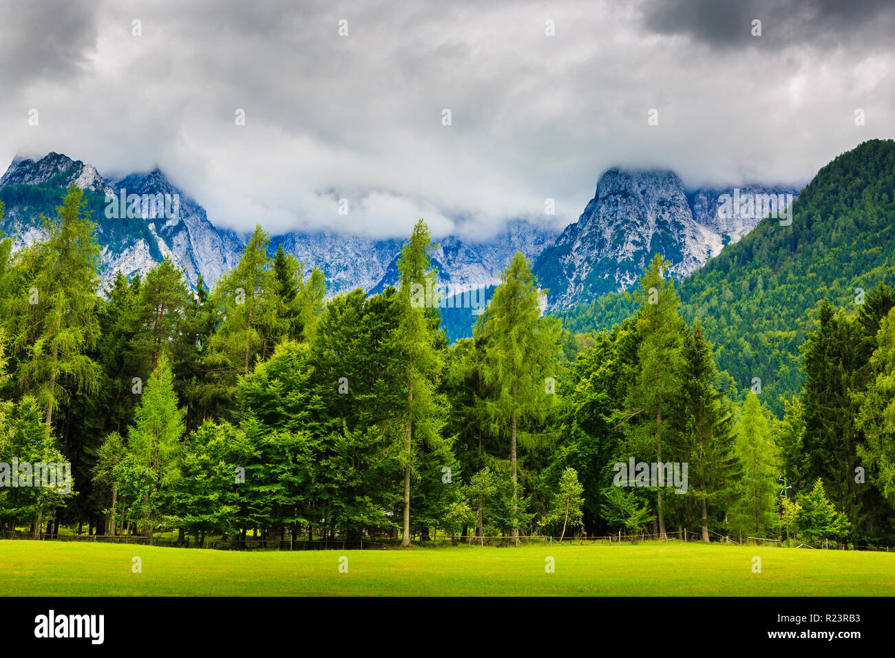 Woodlands and mountains landscape Stock Photo - Alamy