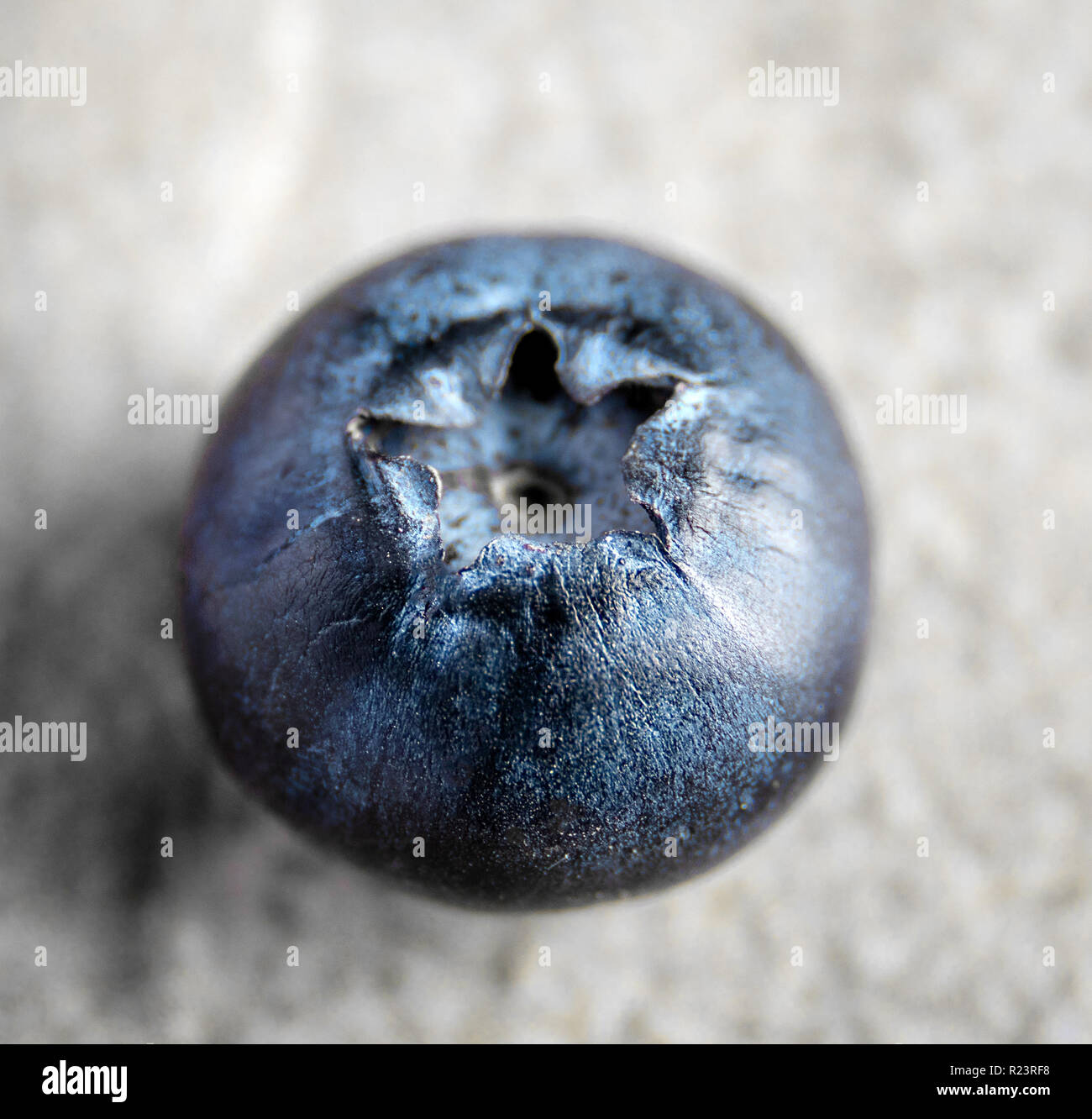 blueberry fruit close up Stock Photo - Alamy