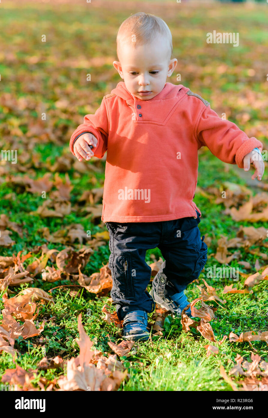 Happy toddler boy running outside in autumn nature Stock Photo - Alamy