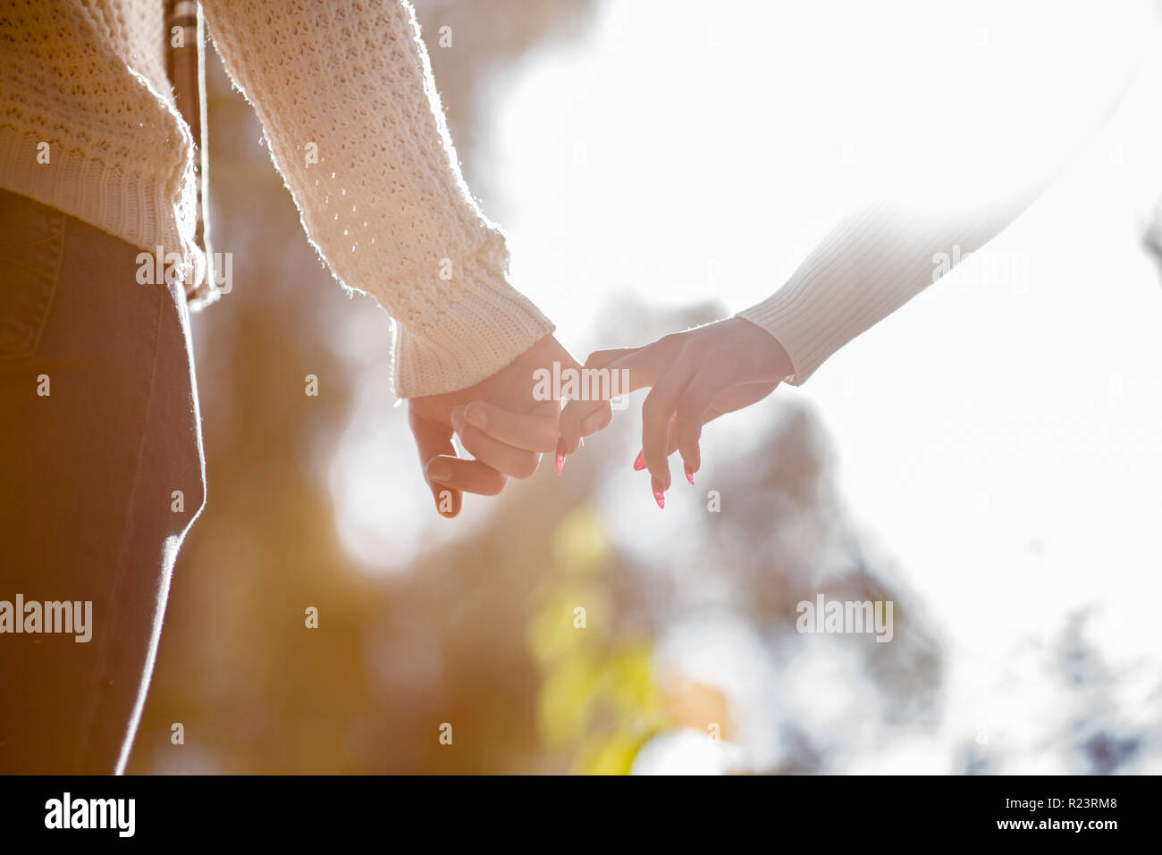 Couple in love is in nature and they are holding hands on a sunlight ...