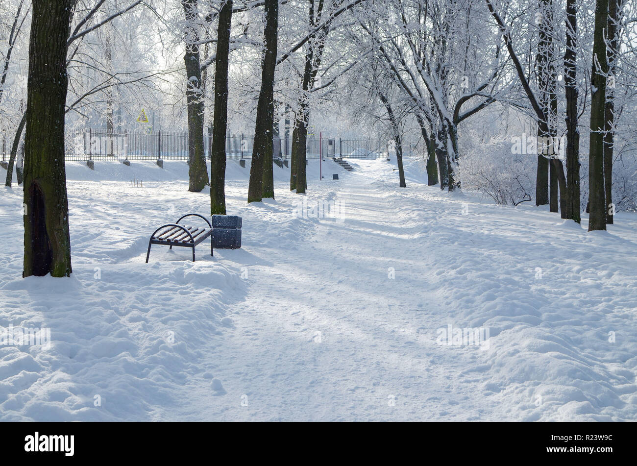 Natural landscape in the Park.On the ground and in the trees is a lot ...