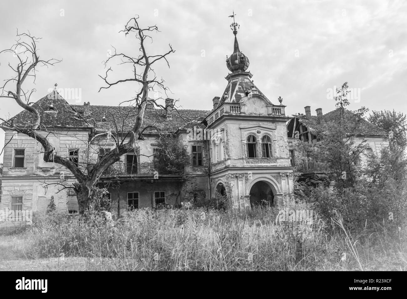 Ruin of medieval scary castle in black and white variant, near city of ...