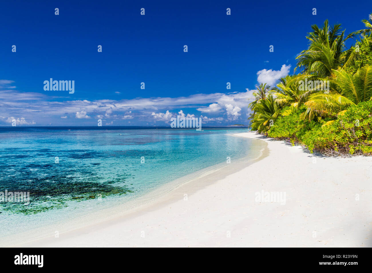 Amazing exotic coast scene, relaxing beach, tropical landscape design ...