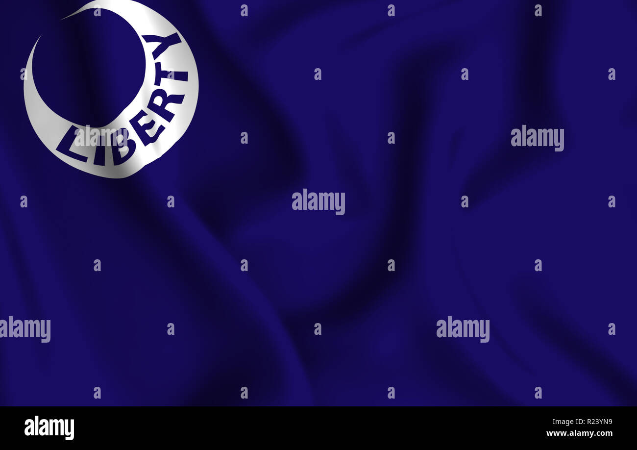 Fort moultrie flag hi-res stock photography and images - Alamy