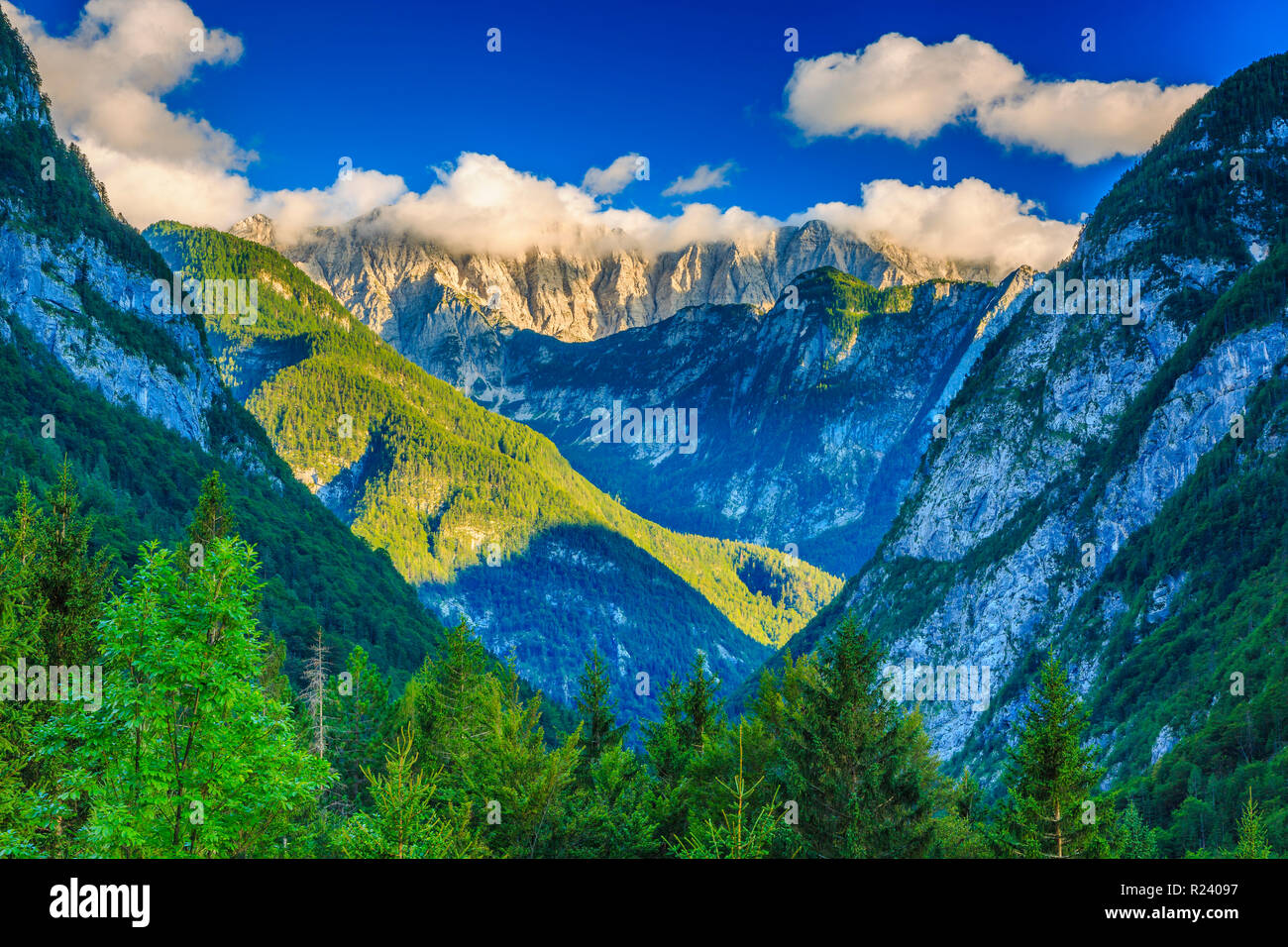 Amazing landscape mountains forests hi-res stock photography and images ...