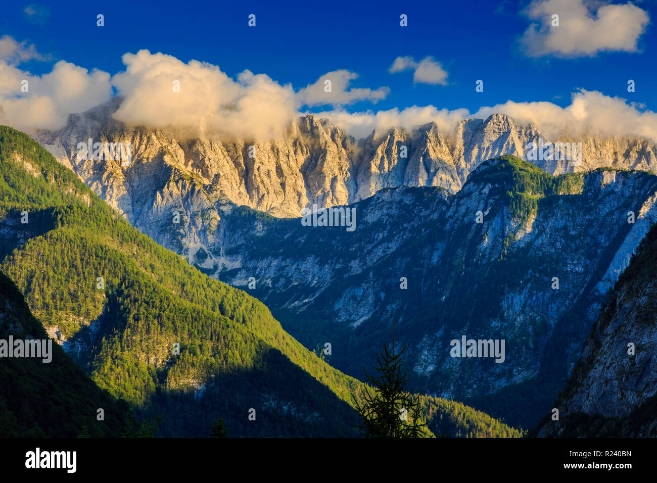 Amazing landscape mountains forests hi-res stock photography and images ...