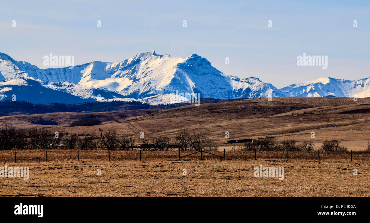 Sibbald hi-res stock photography and images - Alamy