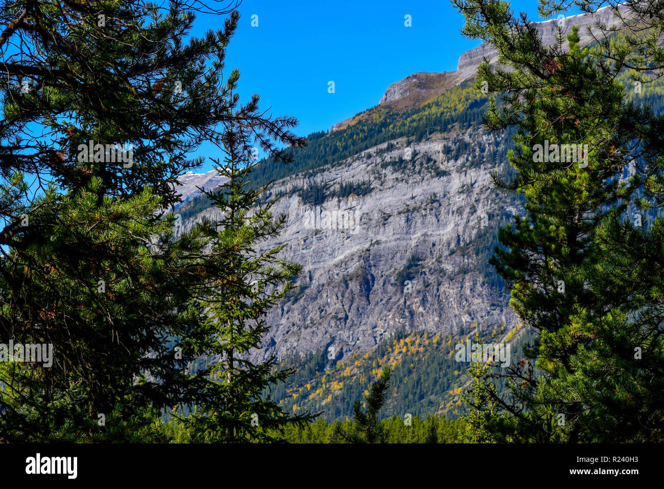 Kananaskis country provincial area hi-res stock photography and images ...