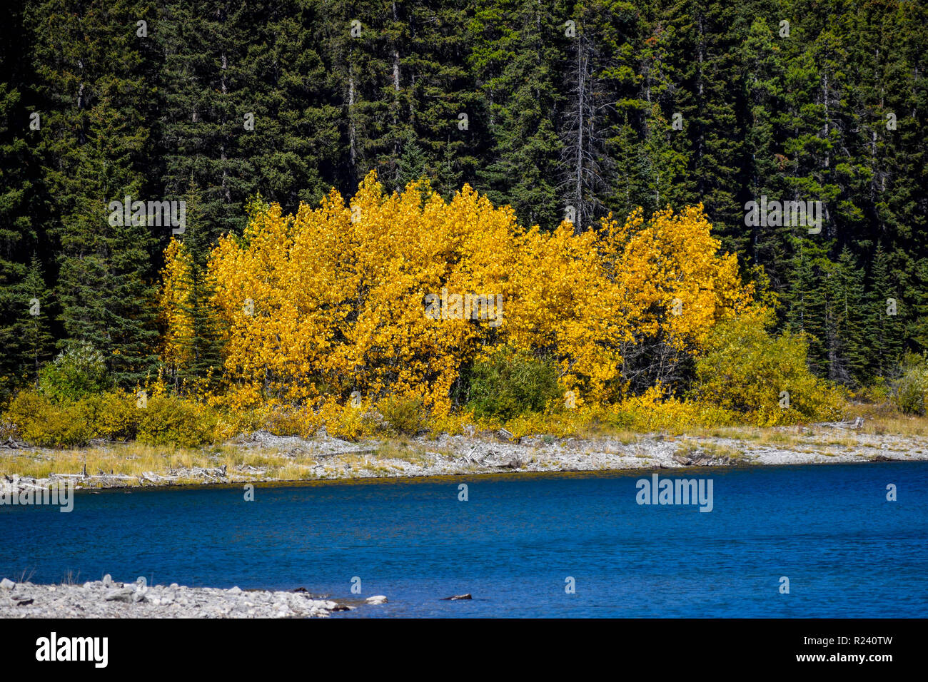 Kananaskis area hi-res stock photography and images - Alamy