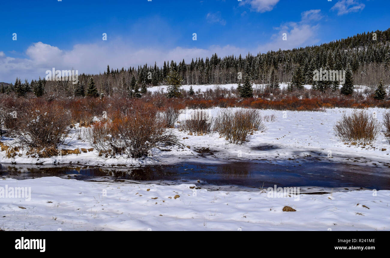 Sibbald hi-res stock photography and images - Alamy