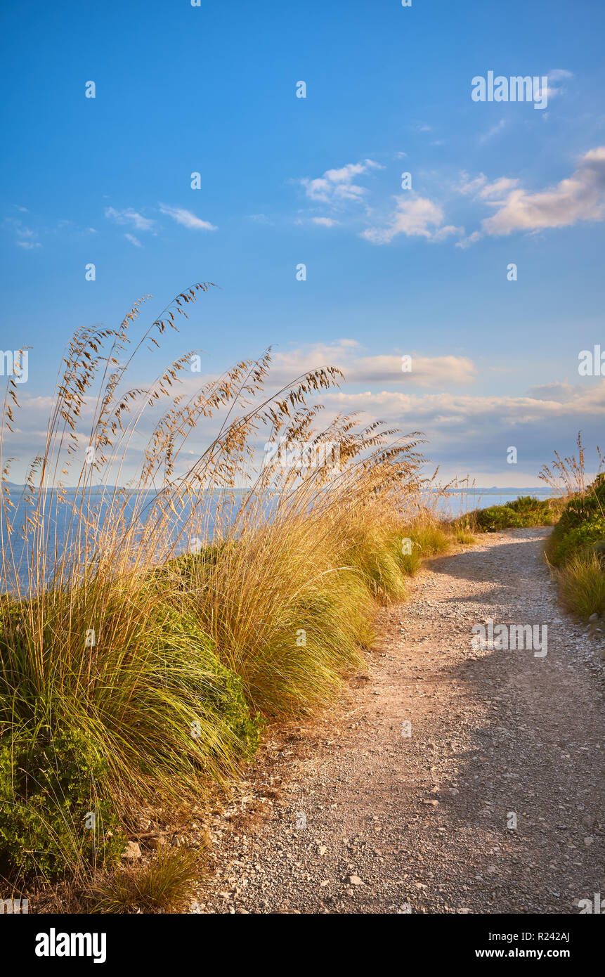Coastal path at sunset hi-res stock photography and images - Alamy