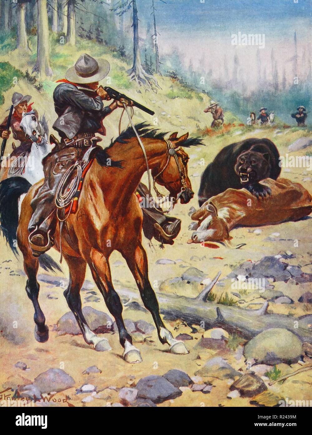 Cowboy shoots a grizzly bear which has killed a steer 1875 Stock Photo ...