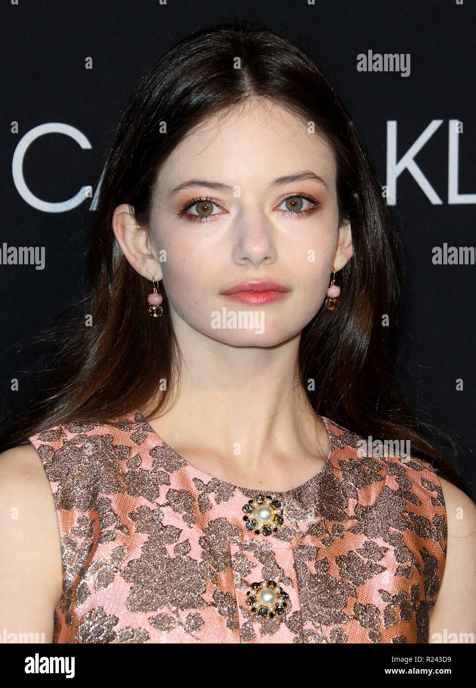 ELLE To Celebrate 25 Years Of Women in Hollywood 2018 held at the Four ...