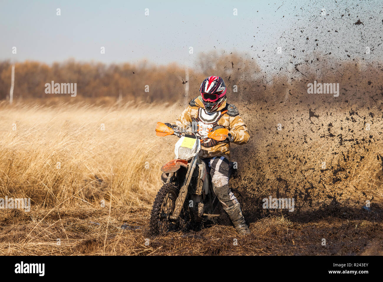 Enduro bike rider on a field with dry grass in autumn. The motorcycle ...