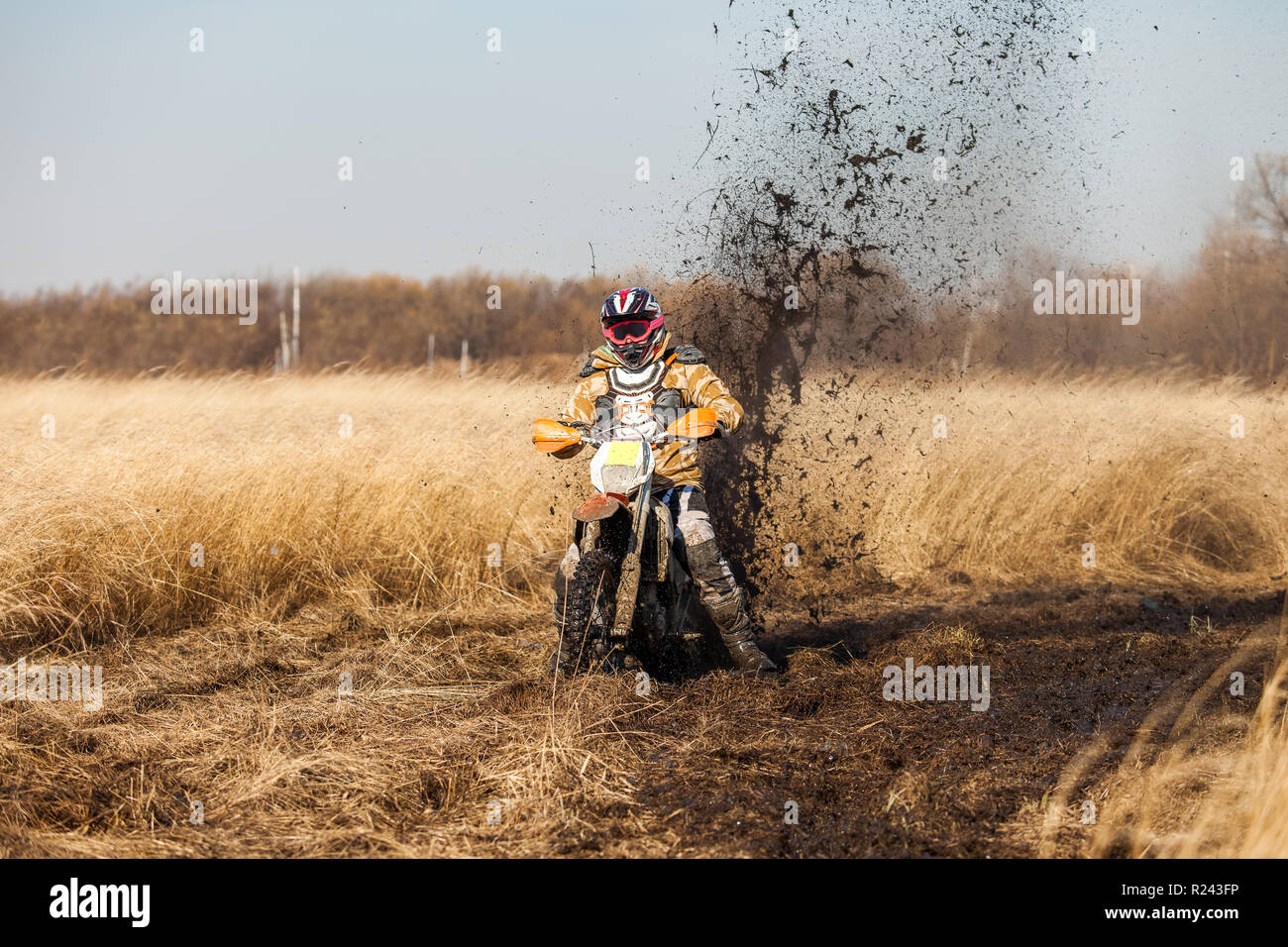 Enduro bike rider in a field with dry grass in autumn. The motorcycle ...